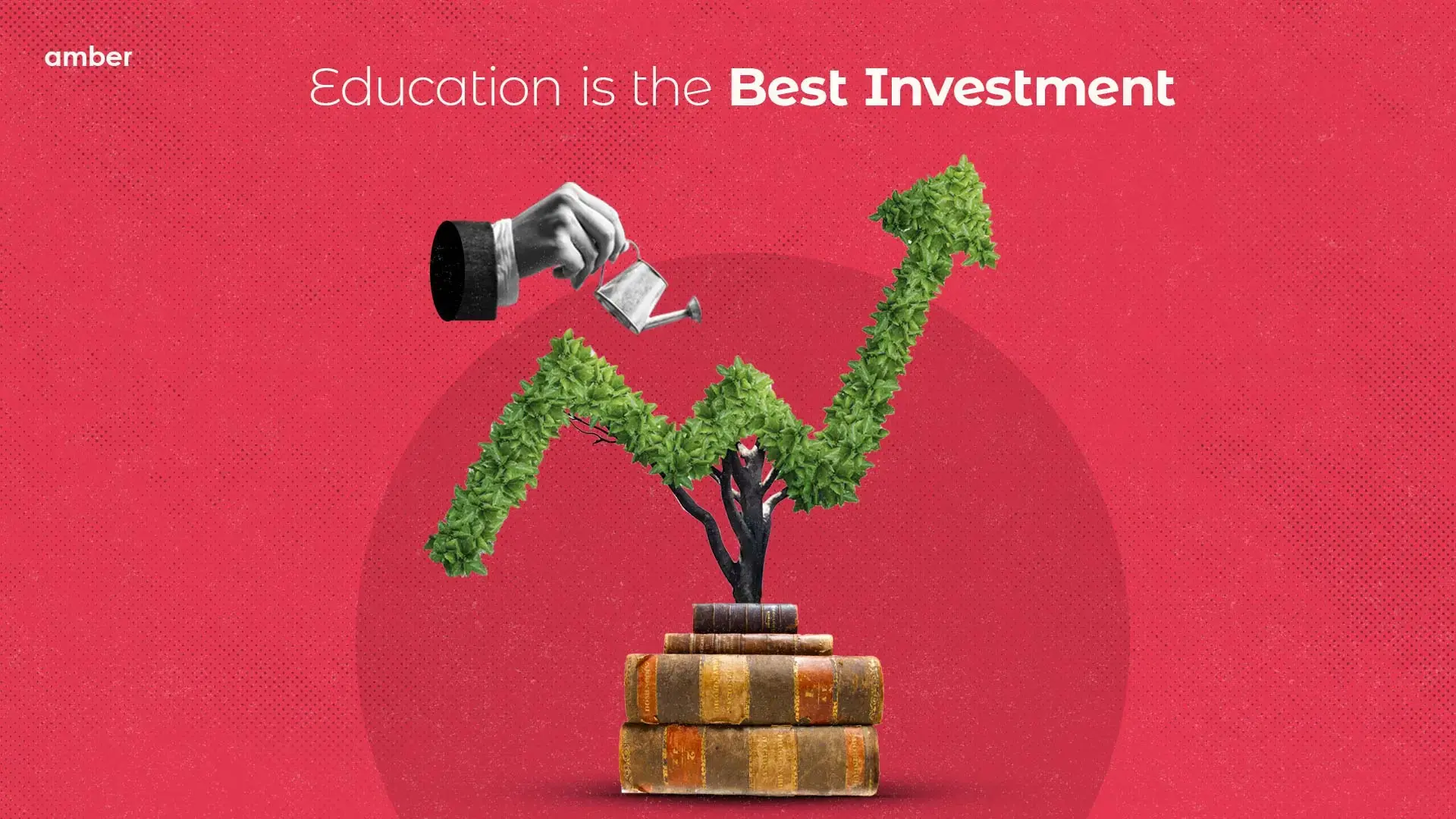 Education As An Investment: 12 Great Reasons To Keep In Mind | Amber